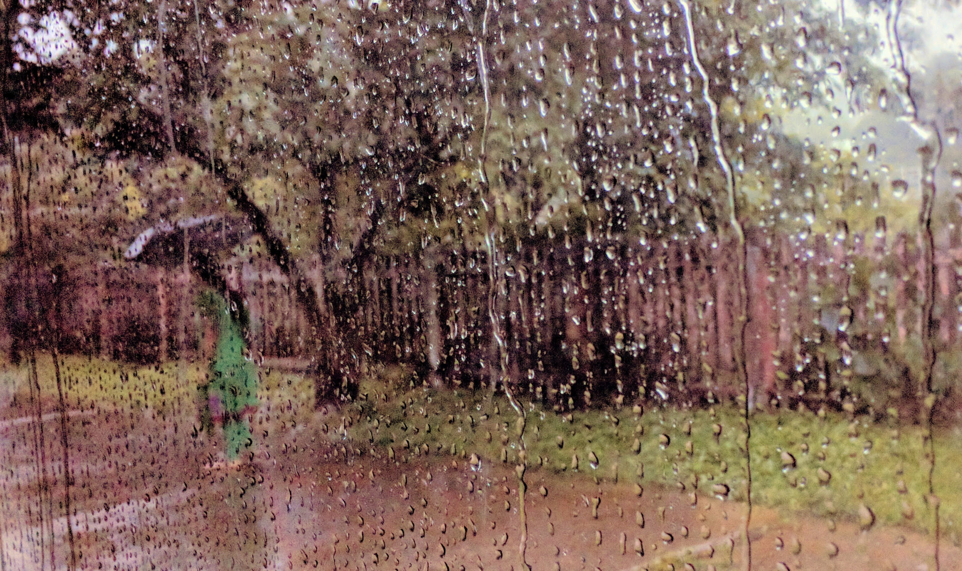 The Wettest Place on Earth: Rainfall Shifts in the North-East ...