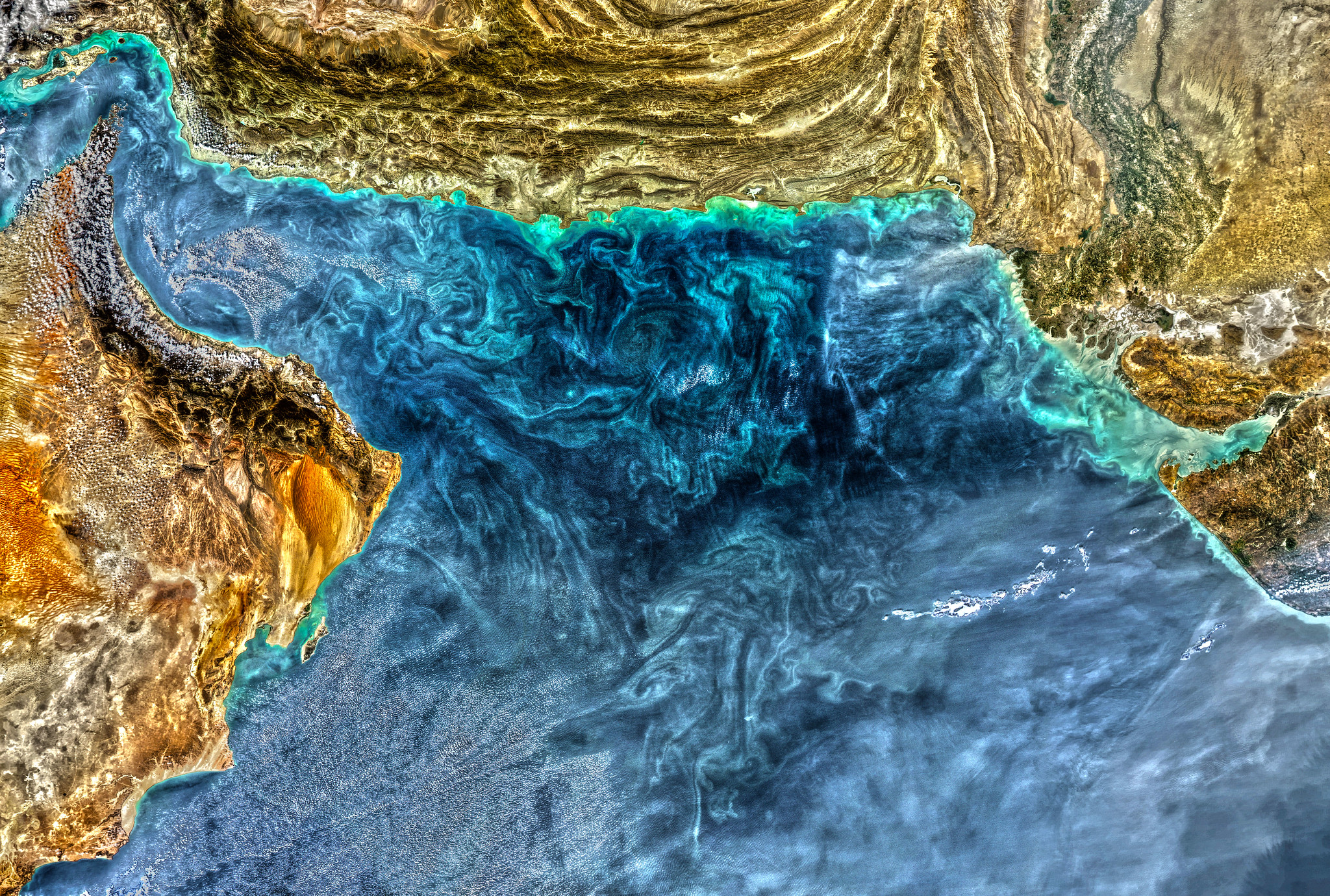 Winter Productivity in the Arabian Sea – STEAMindiaReports